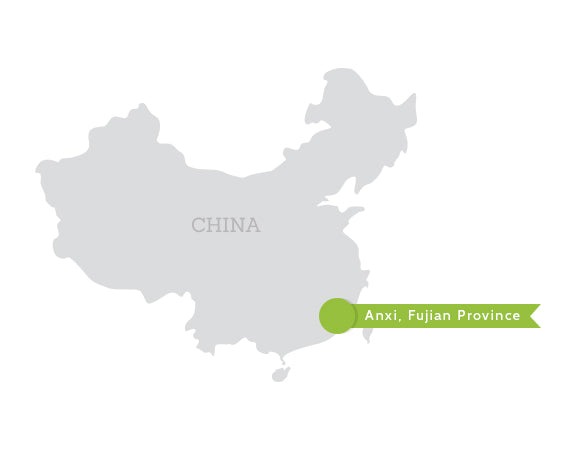 Yellow Gold (Huang Jin Gui) – Chiswick Tea Co.